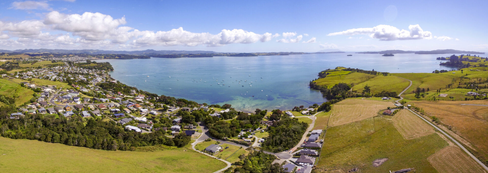 Newsletters | Algies Bay